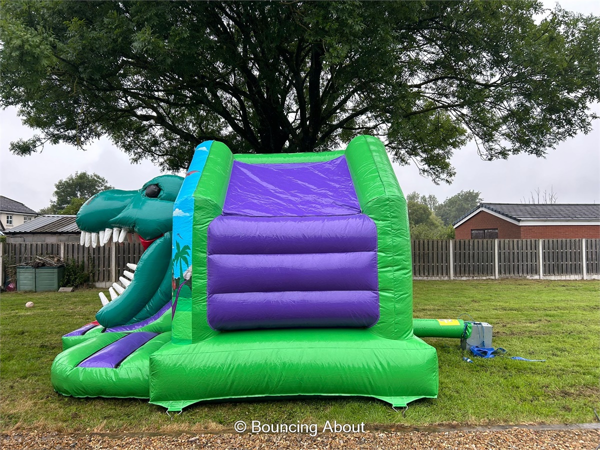 12ft x 15ft 3D Mini Dinosaur Bouncy Castle & Slide - Bouncy Castle and ...